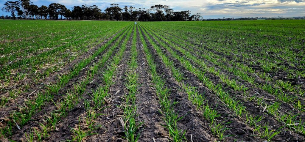 FCHR Series - C-Wise